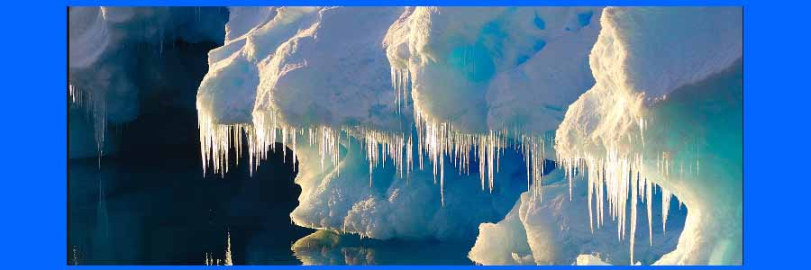 Life of Robert Edgell