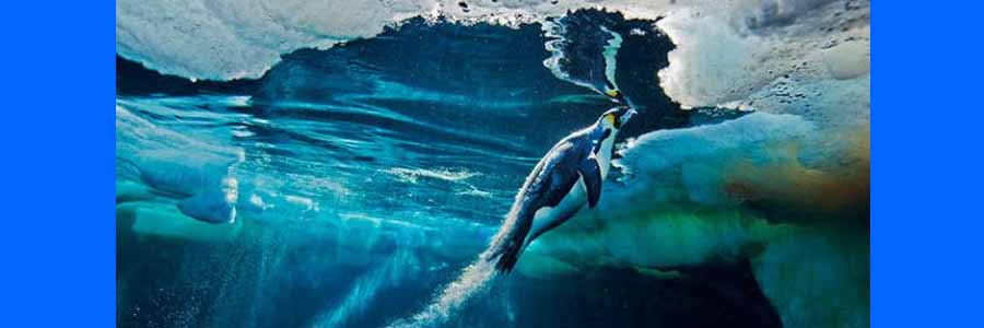 Life of Robert Edgell